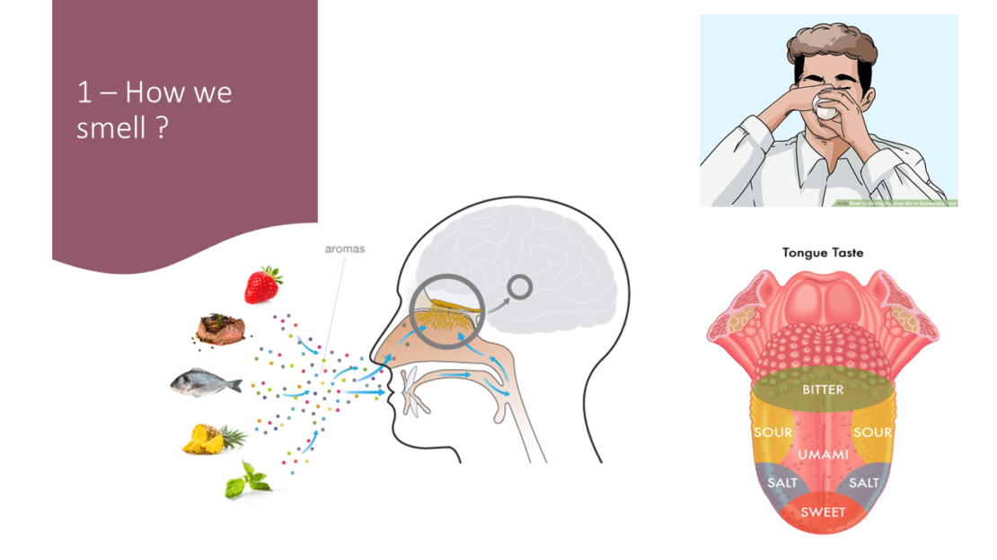The Nose – Trevalim
